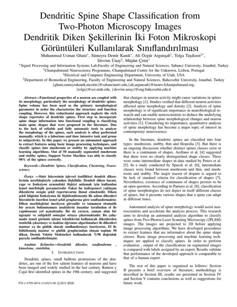 Dendritic Spine Shape Classification From Two