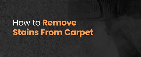 Effective Carpet Stain Removal Tips Citrus Fresh Cleaning