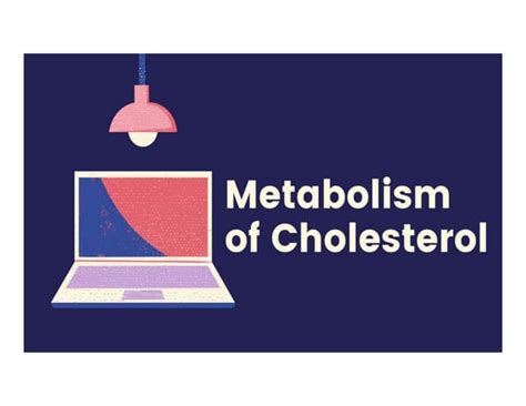 Cholesterol Strcture And Function Pptx Cholesterol Strcture And Function Pptx