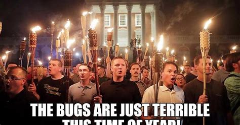 So Many Bugs Album On Imgur