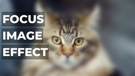 Understanding Css Focus Within