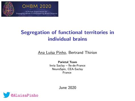 Segregation Of Functional Territories In Individual Brains Ppt