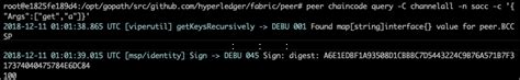 Hyperledger Fabric 14 多通道实验 学习软件编程