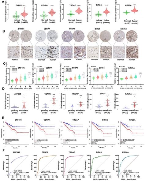 External Validation Of 5 Gene Signatures In Pca A B Differential Download Scientific
