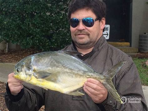 How To Go Surf Fishing For Pompano An Angler S Guide Updated