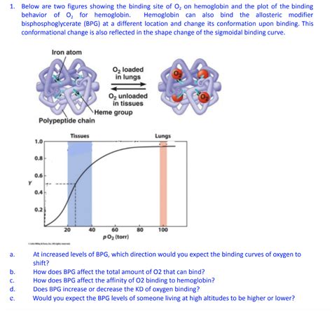 Solved Below Are Two Figures Showing The Binding Site Of Chegg Com