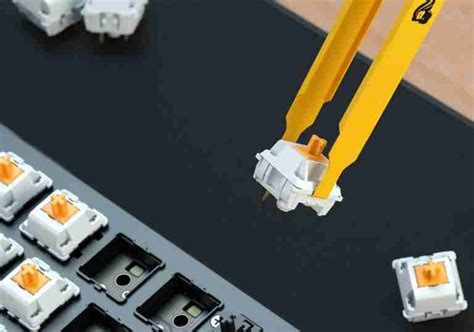A Guide To Removing Mechanical Keyboard Keys Pinstack