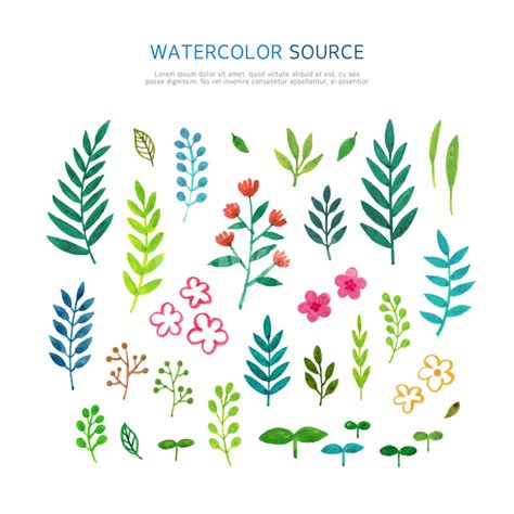 나뭇잎 꽃잎 새싹 수채화 소스 사진이미지일러스트캘리그라피 Dawool작가