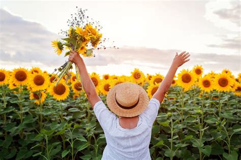 Back View Of Woman In Hat Raising Arms In Sunflower Field At Sunset