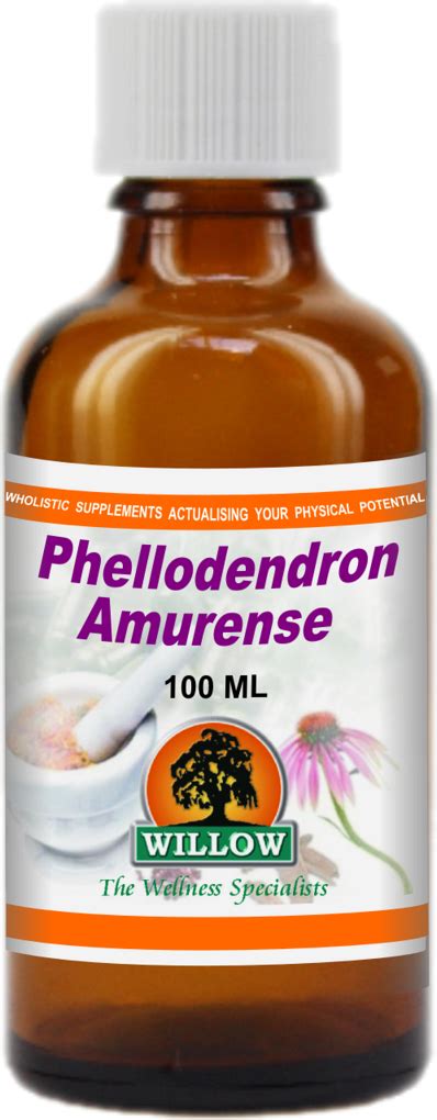 Phellodendron Amurense 100ml Tinctures Willow Wellness