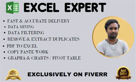 Do Excel Data Filtering And Sorting Services By Abhishekbha Fiverr