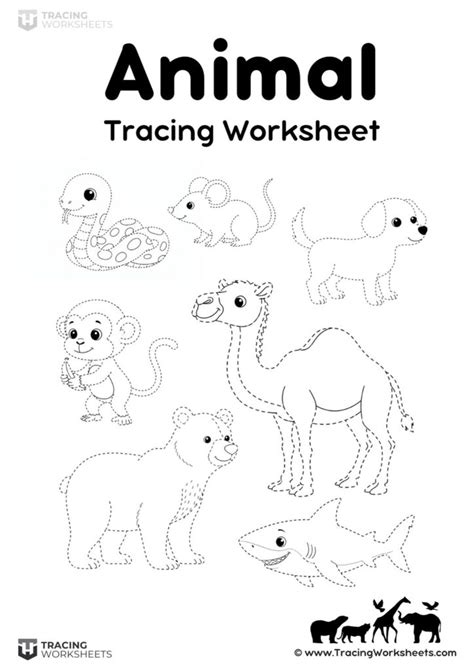 Animal Tracing Worksheets 20 Animals Pictures