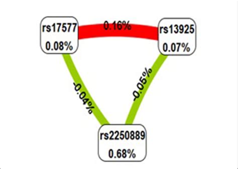 Figure E Mdr Analysis Diagram Of The Mmp Gene Among Diierent Snp Snps Download Scientific