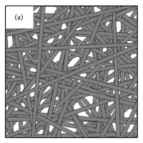 Nanofibrous Structures With Various Size Polydispersity A Download Scientific Diagram