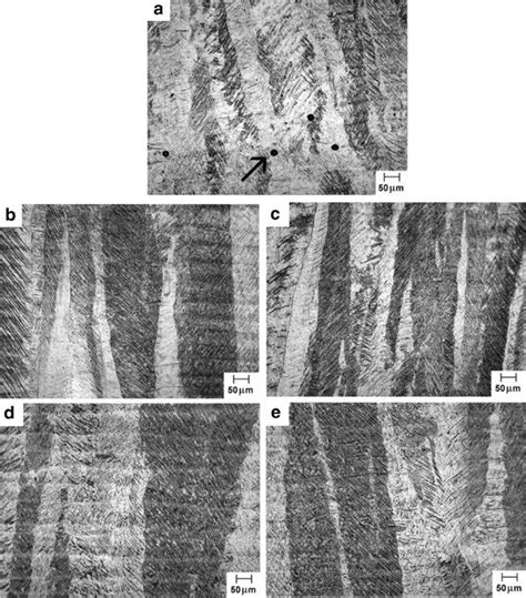 Typical Optical Micrographs Of A Vertical Cross Section Of The Near