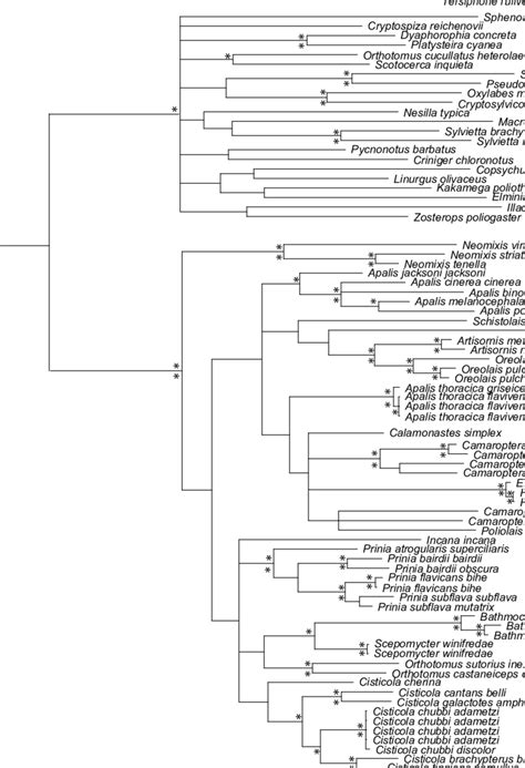 Bayesian Inference Tree Mean Log Likelihood Value 1518345 Sd ±
