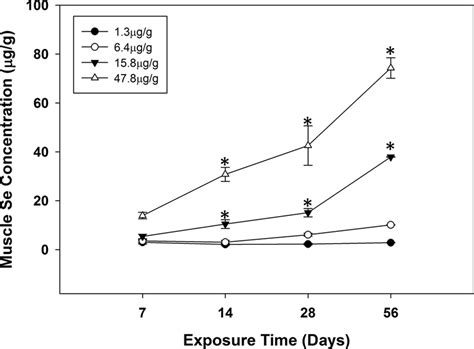 Muscle Selenium Concentrations μgg Dry Mass Measured Over Time In