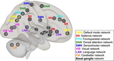 resting state networks the hubs of the major resting state networks