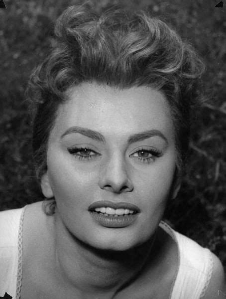 Sophia Loren On Tumblr Sofia Loren Sophia Loren Photo Sophia Loren