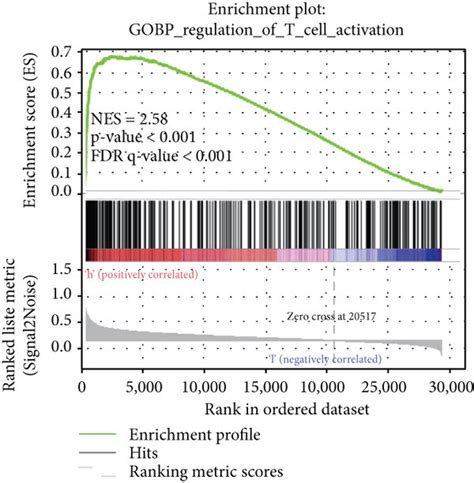 Gsea Enrichment Analysis The Icg High Subgroup Related To Kegg Ac