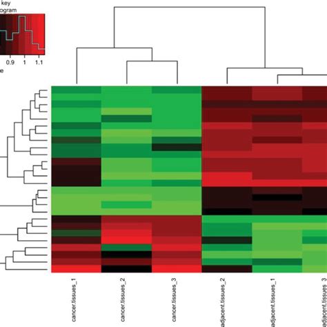 MiRNA Expression Profiles In WT Tissues And The Corresponding Adjacent