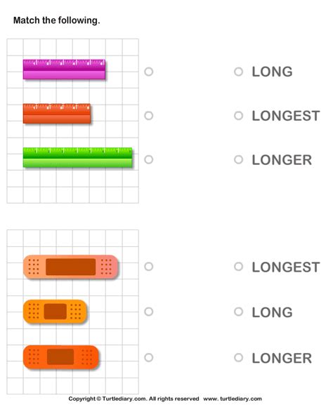 Comparing Lengths Turtle Diary Worksheet