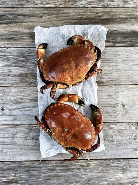 Svensk Krabba Den Goda Maten