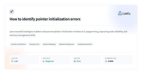 How To Identify Pointer Initialization Errors Labex