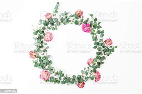 분홍색 장미 꽃과 흰색 바탕에 유칼립투스 분기 꽃 프레임 플랫 레이 평면도 0명에 대한 스톡 사진 및 기타 이미지 0명 개념 개념과 주제 Istock