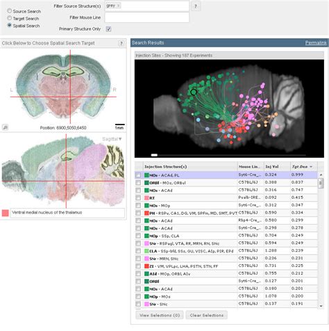 Api Allen Brain Connectivity Allen Mouse Brain Connectivity Atlas