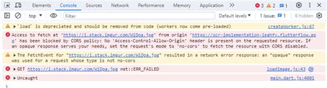 About Cors Issue When Getting Images From Other Domains Rflutterflow