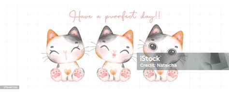 귀여운 옥양목 고양이 만화 수채화 삽화 배너 카와이 장난기 가득한 키티 아트 수채화에 대한 스톡 벡터 아트 및 기타 이미지 수채화 애완고양이 삼색털 고양이 Istock