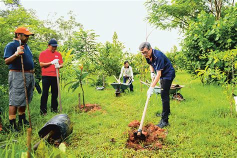 Cultivating A Better Tomorrow