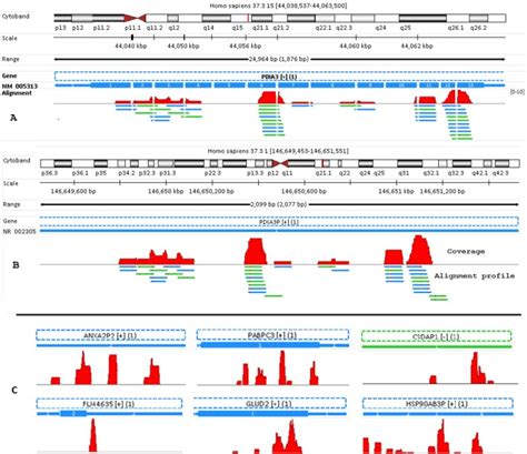 A With Refgene Model These 38 Reads Are Uniquely Mapped To 8