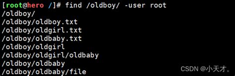 二、linux Find命令详解find Name 模糊查找 Csdn博客