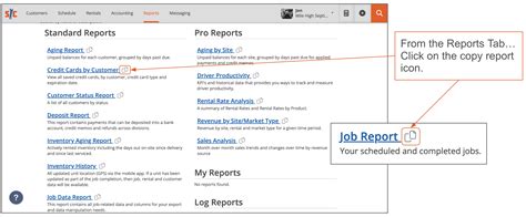 Pro Reports Copy A Report Servicecore