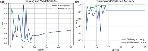 A Training And Validation Loss Leakyrelu B Training And Download Scientific Diagram