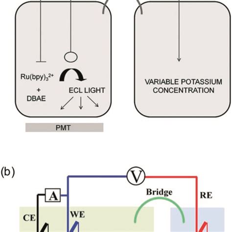 A Construction Of The Closed Bipolar Electrode System To Physically Download Scientific