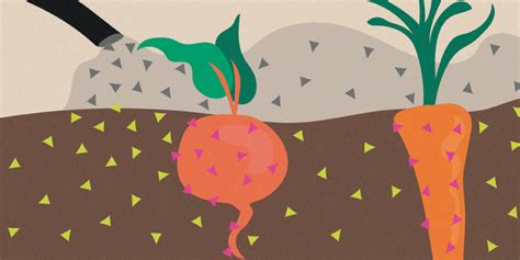 What Are The Health Impacts Of Exposure To Toxins