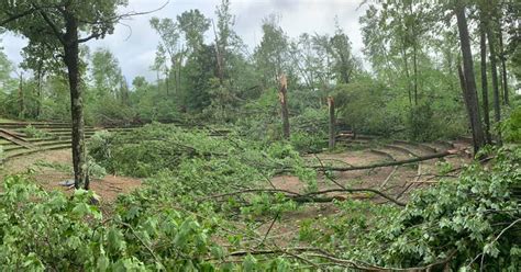 Officials Vow To Rebuild Ma Ka Ja Wan Scout Reservation In Wisconsin