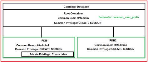 Common Users And Common Privileges In Oracle