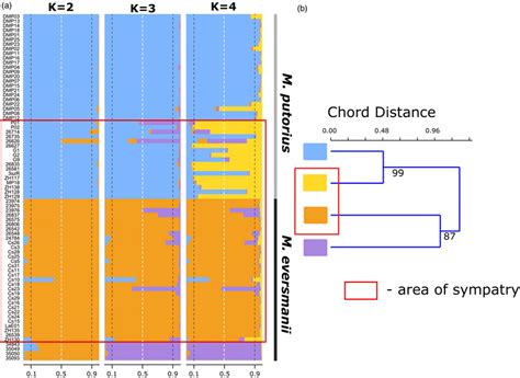 The Genetic Structure Of Microsatellite Data Of The Studied Mustela