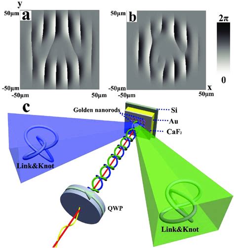 The Designed Helicity Metasurface Holograms And Schematics Of The Download Scientific Diagram