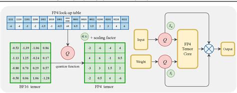 Optimizing Large Language Model Training Using Fp4 Quantization