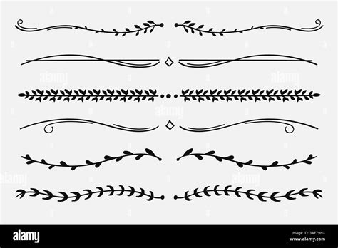 Nature Floral Vine Line Divider For Text Layout Separator Decoration Element Collectionvector