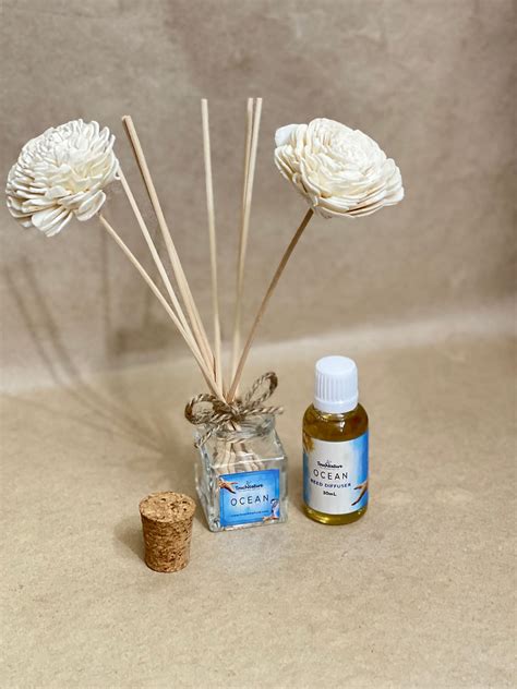 Reed Diffuser Set Ocean Scented 30ml Touch Nature