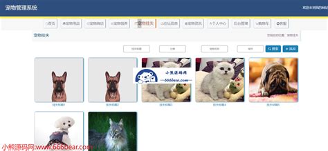 ssm宠物管理系统 计算机源码 软件工程专业源码成品 小熊源码网