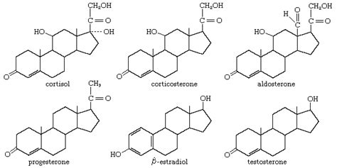 Digitoxigenin Chemical Compound Britannica
