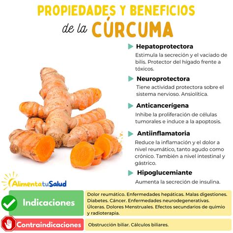 CÚrcuma El Botiquín En Una Sola Planta Alimenta La Salut