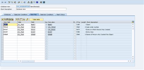 SAP TECH Database View